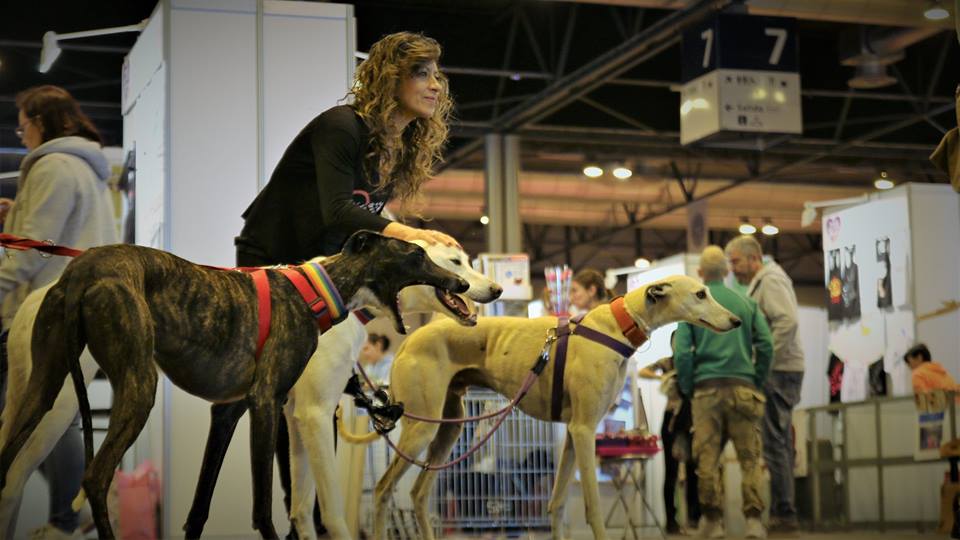 ÑERUKO WAPOO ORLANDO 100X100 – AXLA – Amig@s X los animales